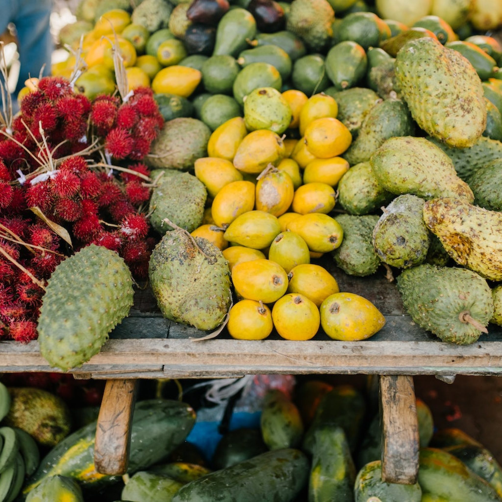 Producción de Guanábana - Innovatione